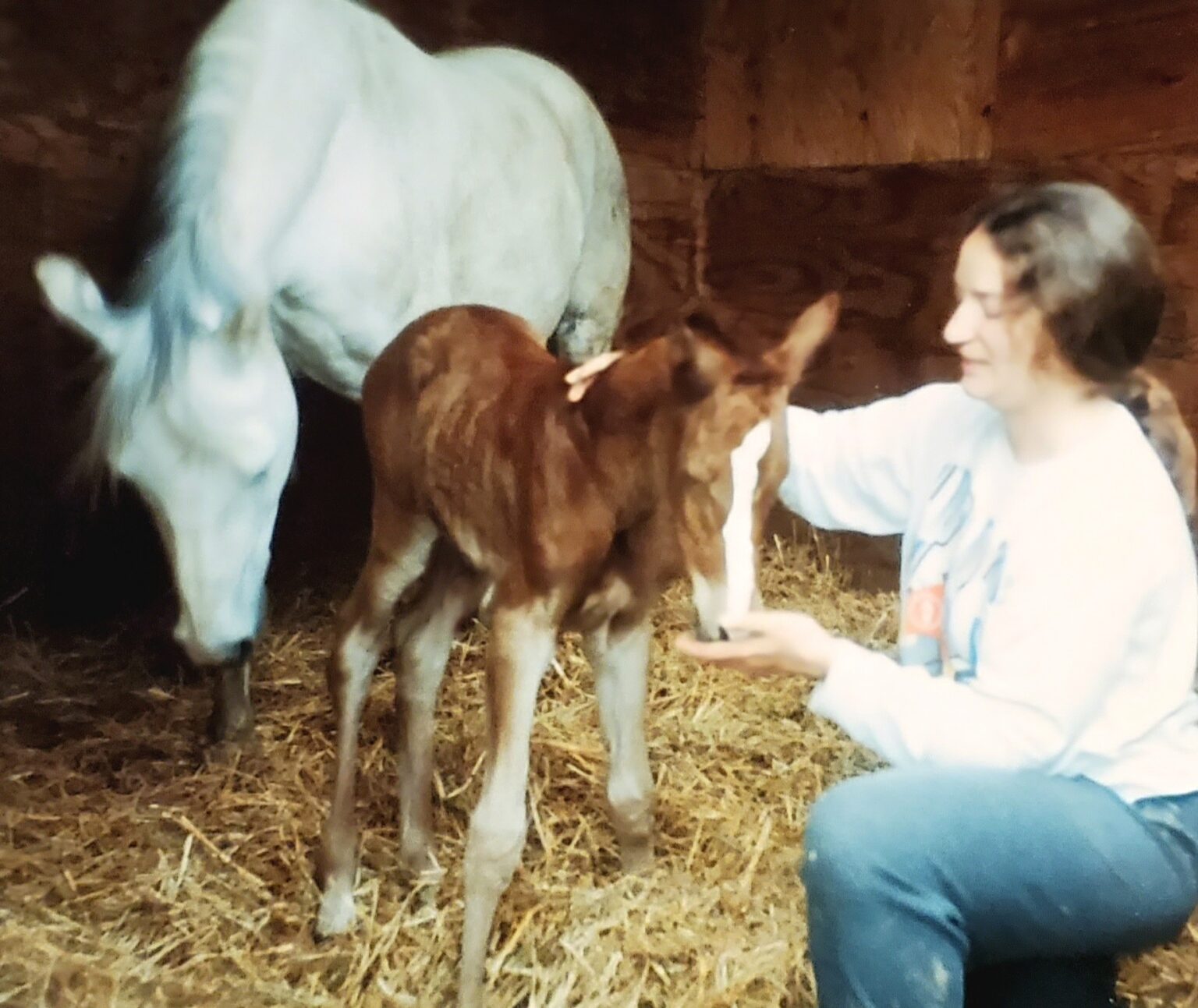 Never Better - Health Rising