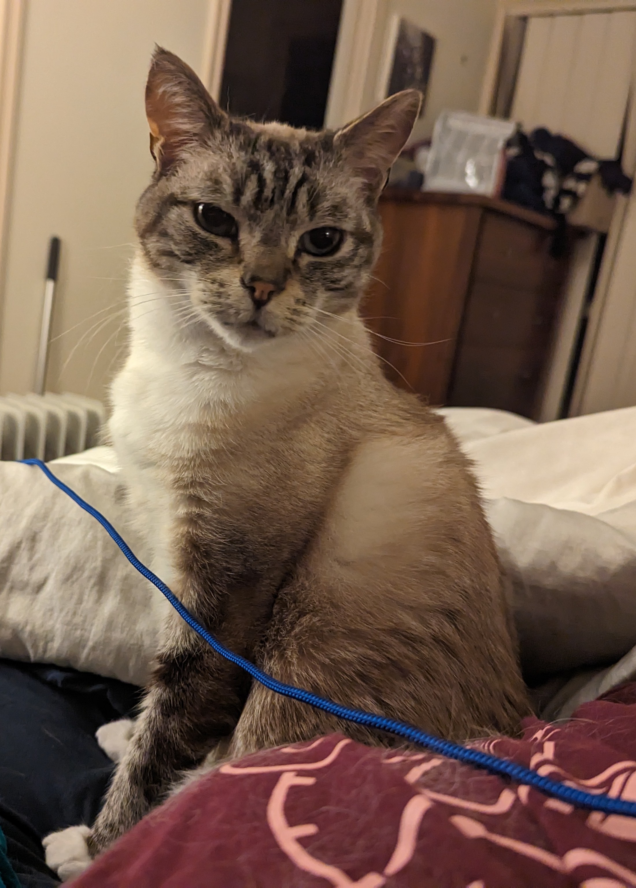 Is Ron Davis’s ME/CFS Collaborative Research Center at Stanford Poised ...