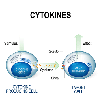 New Epigenetic Diagnostic Test For ME/CFS Wows ... But Can It Hold ...