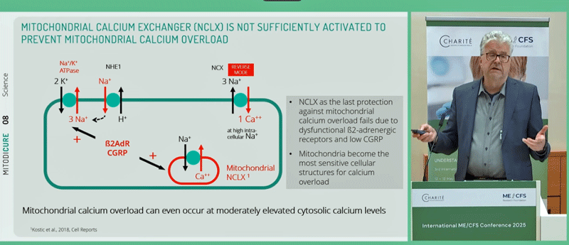 An Enigma No More? Is ME/CFS an Acquired Muscle Myopathy Disease ...
